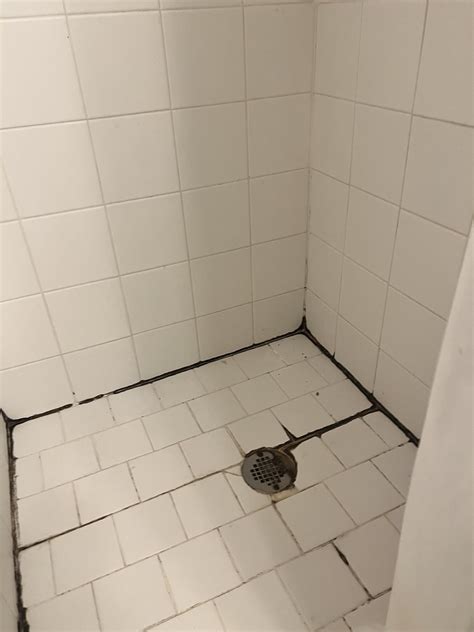 Is This Bad😟 This Is My Cousins Bathroom Rmoldlyinteresting