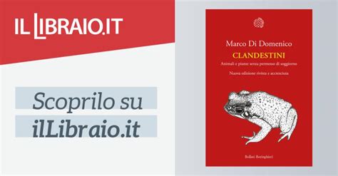 Clandestini Di Marco Di Domenico Brossura Nuova Cultura Il