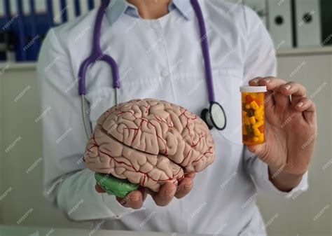 Premium Photo Neurologist Doctor Shows Convolutions Of Brain On Anatomical Model Of Human