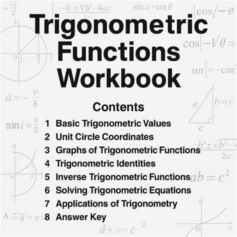 Trigonometric Functions Workbook Graphs Identities Equations