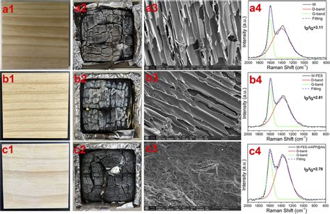 Images Of W W FES W FES MAPP Als Samples A1c1 Before And A2c2