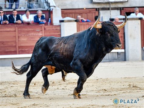 Las Ventas