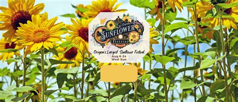Discover The Best U‑cut Sunflower Festival Near Portland At Lee Farms