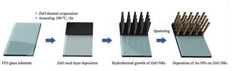 Chemosensors Free Full Text Electrochemical Biosensing Methods For