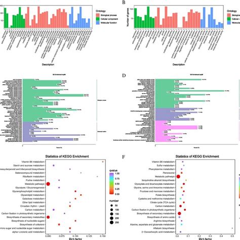 Gene Modules Identified By Weighted Gene Co Expression Network Analysis