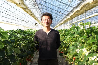 観光農園 いわき野菜Navi