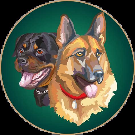 گلدن رتریور سگ نژاد آپارتمانی خرید گلدن رتریور پت سانی