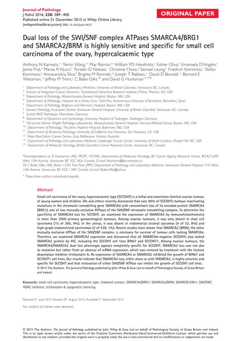 Pdf Dual Loss Of The Swi Snf Complex Atpases Smarca4 Brg1 And Smarca2