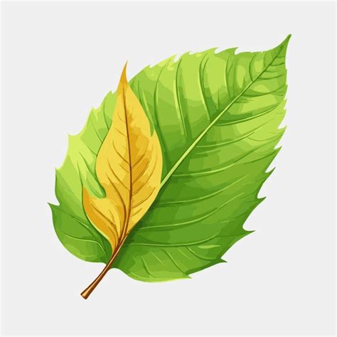 Premium Vector Leaf Background Vector