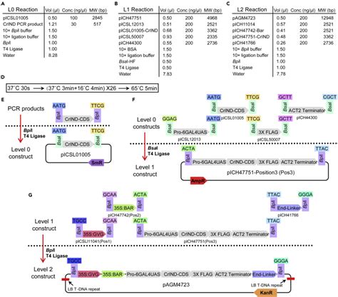 10x Tbst Buffer Recipe 10x Tbst Buffer Recipe