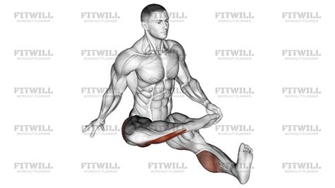 Plantar Flexion Stretch Exercise Guide Techniques Benefits How To