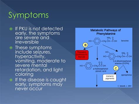 Ppt Phenylketonuria Pku Powerpoint Presentation Free Download Id