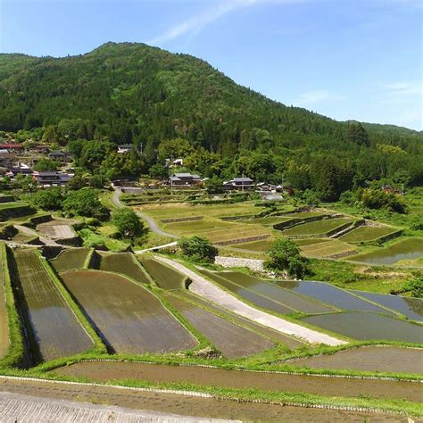 坂折棚田岐阜県恵那市 日本の棚田百選に認定されたはしご田と呼ばれる石積みの棚田が広がります Sakao Flickr