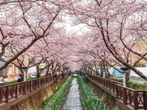 The Most Beautiful Places In South Korea Most Beautiful Places