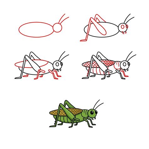 10 Easy And Cute Grasshopper Drawing Ideas Drawing Photos