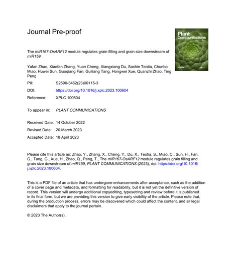 PDF The MiR167 OsARF12 Module Regulates Grain Filling And Grain Size