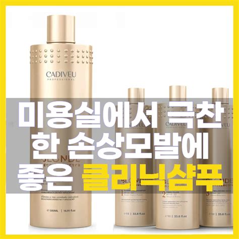 손상모발샴푸 헤어클리닉으로 미용실에서 극찬한 자연유래 단백질샴푸 네이버 블로그