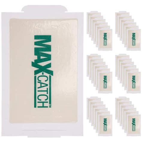 Catchmaster Pro Mouse And Insect Glue Traps 36 Pack 36max Ec 1e The