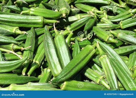 Okra Stock Image Image Of Market Vegetables Produce 42557245