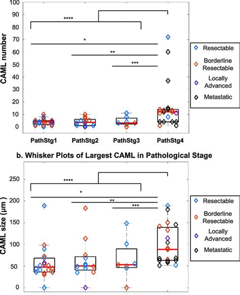 Caml Number And Largest Caml Size Based Of Resectability And
