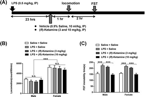 Effects Of Sex Difference In The Antidepressant Effects Of R Ketamine Download Scientific