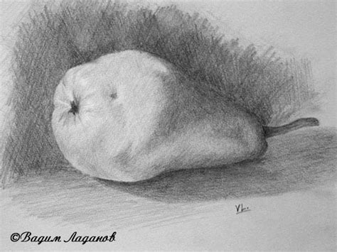 Галерея — Уроки рисования карандашами и пастелью