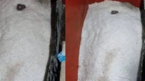 മരിച്ചവർ വീണ്ടും ജീവിതത്തിലേക്ക് കുട്ടികളുടെ മൃതദേഹങ്ങൾ ഉപ്പിൽ വച്ച്