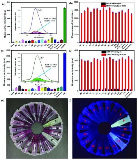 Ac Fluorescence Performance Of Xbt Cn 10 µm With The Addition Of Download Scientific