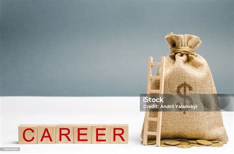 나무 블록 단어로 경력 돈 가방 및 사다리 자기 개발 및 리더십 기술입니다 경력 사다리는 경력 성장 직장에서 승진 성공의 성취 과정 0명에 대한 스톡 사진 및 기타 이미지