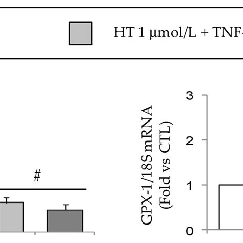 Modulation By Ht Of Mrna Expression Levels Of Genes Associated With