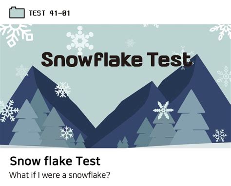 Snowflake Test Snowflake Test