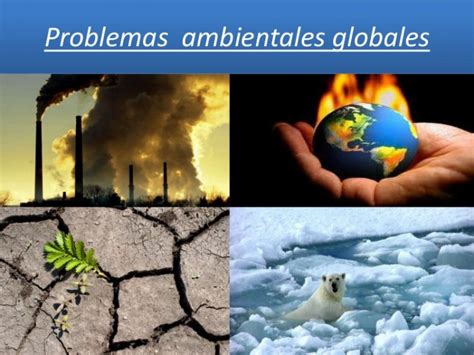 Problemas ambientales más importantes Ecología Hoy