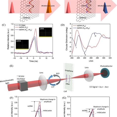 Dft Calculations Of Adsorption Of Dna Nucleobases On Graphene A B