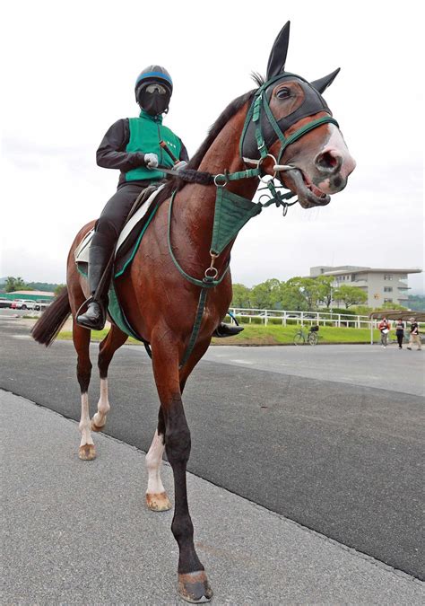 【中京記念】アルナシームあるぞ初タイトル奪取 “優勝条件”唯一満たす 競馬ニュース Netkeiba