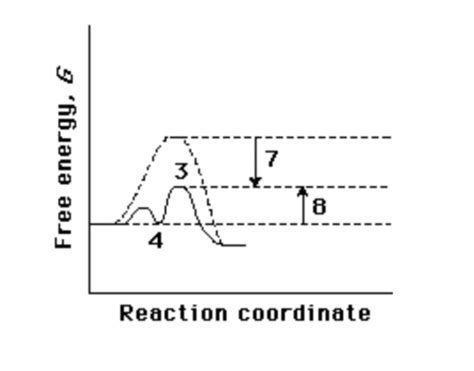 Biochem Test 2 Flashcards Quizlet