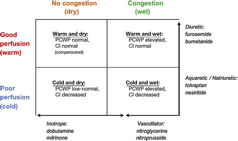 Heart Failure Acute Exacerbation At Charlotte Armour Blog