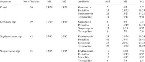 Amplification Using Pcr And Its Comparison With The Methods Of Download Scientific Diagram