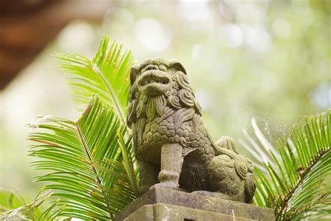 Dsc05418g800 Rin Flickr