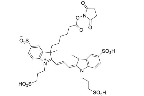 3 Spacer C6 Cpg 1000 长沙瀚辰生物科技有限公司