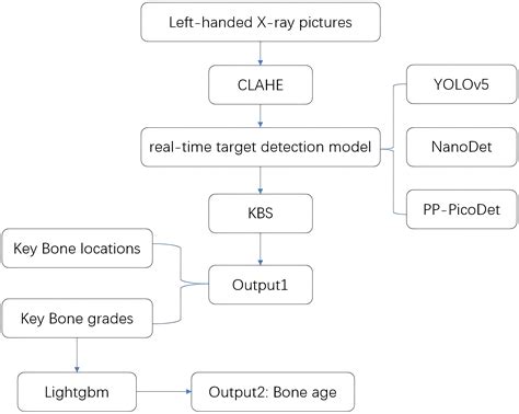 Frontiers A Real Time Automated Bone Age Assessment System Based On