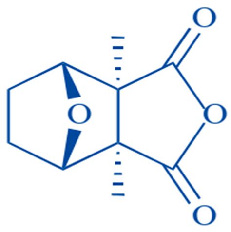 Molecules Free Full Text Anticancer Attributes Of Cantharidin Involved Molecular Mechanisms