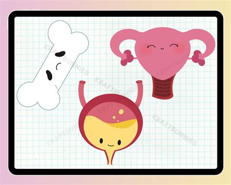 Cute Kawaii Body Organs Anatomy Education Brain Heart Lungs Vector