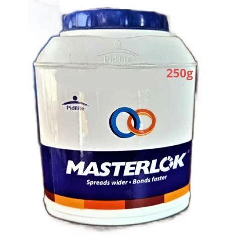 Pidilite Masterlok Wood Adhesive 250g At ₹ 250 Piece In Pune Id 2856940979012