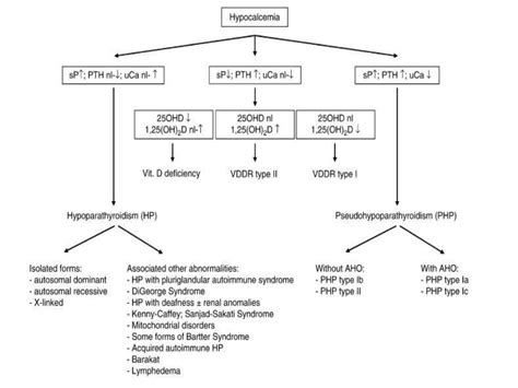 1479713317 Hypocalcemia Low Calcium Ppt