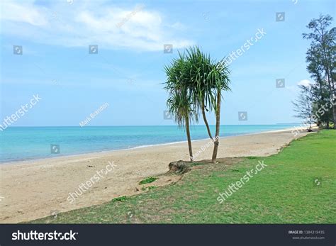 7 Imágenes De Bang Lud Imágenes Fotos Y Vectores De Stock Shutterstock