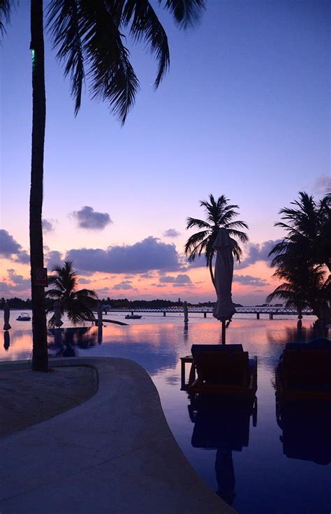 Twilight Photograph By Corinne Rhode Fine Art America