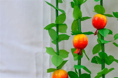 유대인 휴일 수코트 배경입니다 수코트의 유대인 축제 석류 장식이 있는 전통 수카 오두막의 일부 0명에 대한 스톡 사진 및 기타