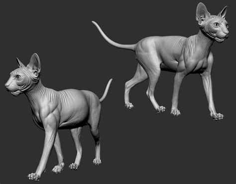 Sphinx Cat Zbrushcentral