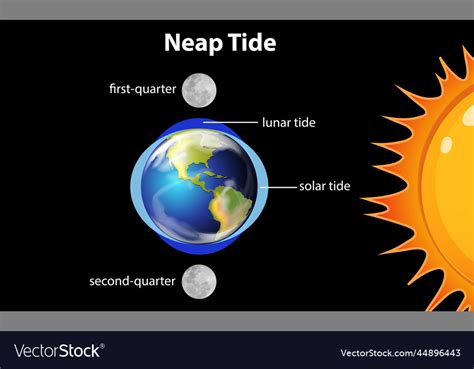 Neap And Spring Tides Uk 2024 Schedule Reiko Linnet
