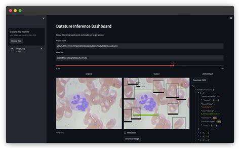 Building A Simple Inference Dashboard With Streamlit